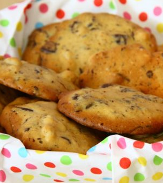 Fairtrade Fritzi – Gymnasium Fridericianum Erlangen